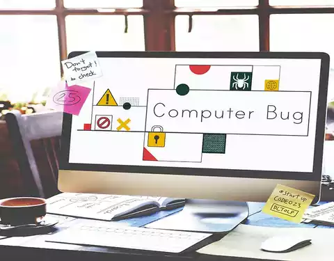 Computer Bug: How Can It Harm Your Security? | ITIGIC