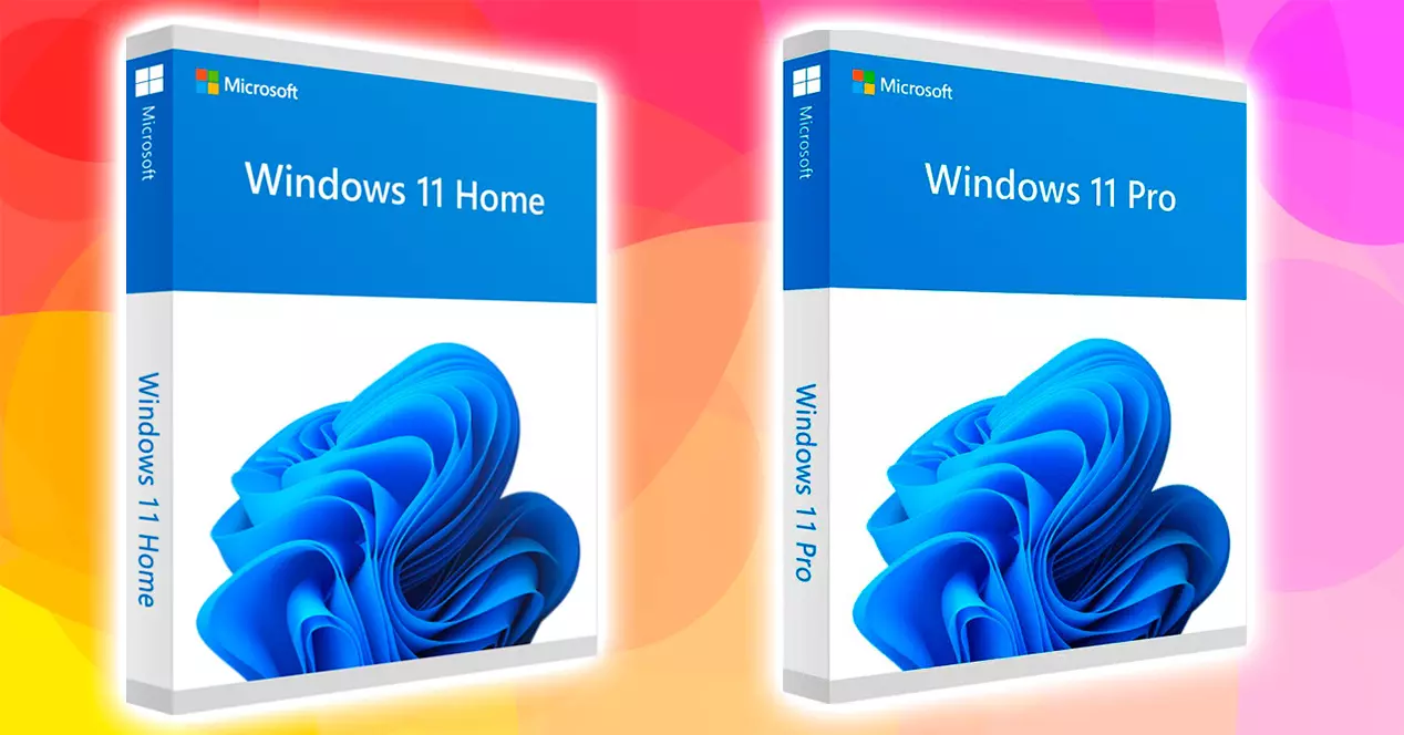 Types of licenses and editions for Windows: Home, Pro… – OEM and Retail ...