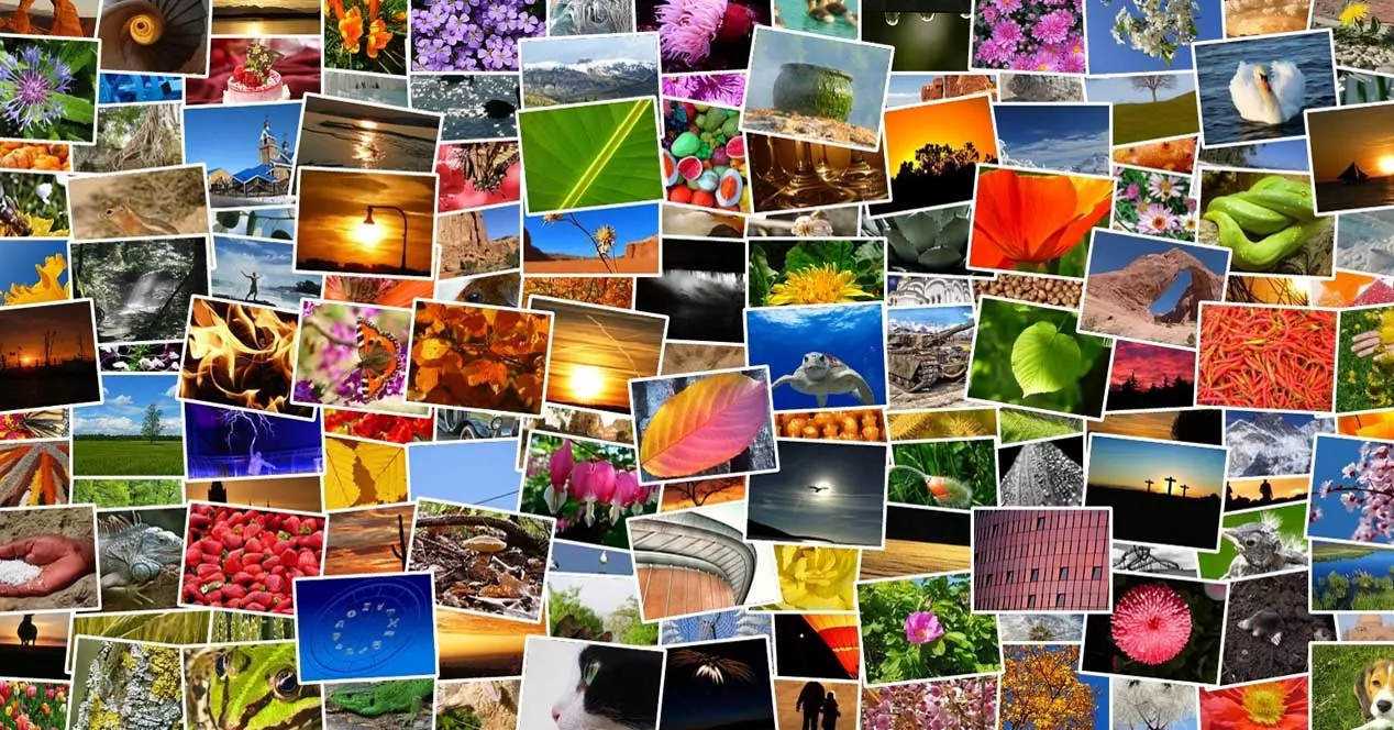 Are JPG and JPEG formats the same? Their differences | ITIGIC