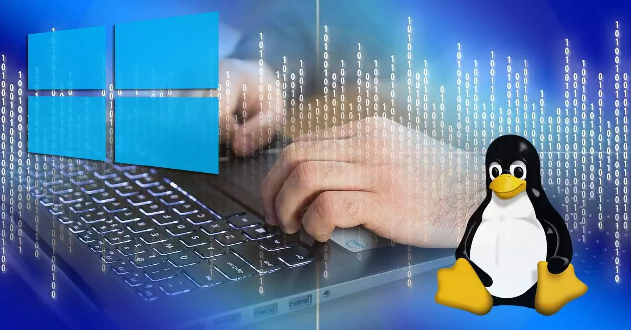 Lập trình trên Windows hay Linux tốt hơn? | ITIGIC