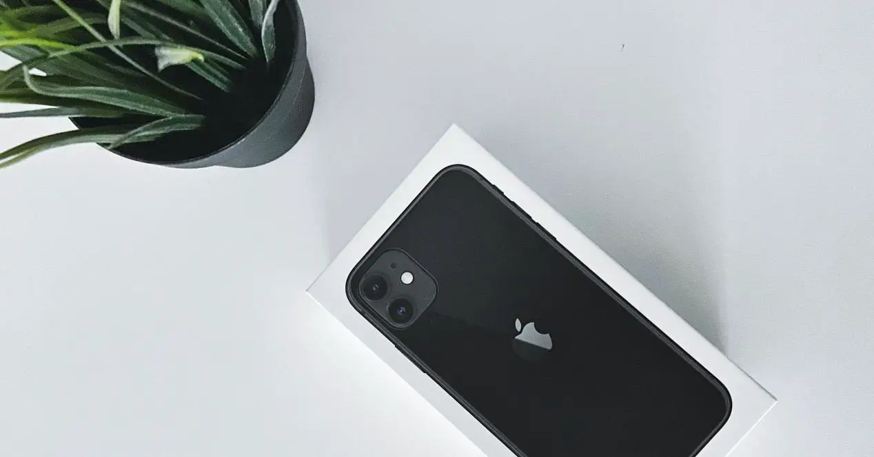L'iPhone 11 en 2023, est-ce une bonne idée ? | ITIGIQUE