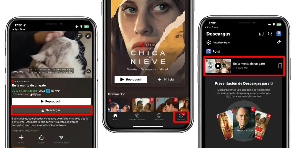 How to watch Netflix without internet on an airplane from the iPhone ...