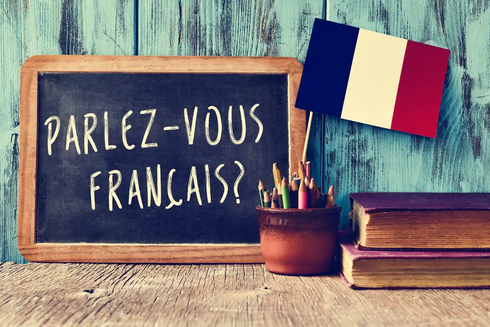 HOW TO LEARN FRENCH WELL | ITIGIC